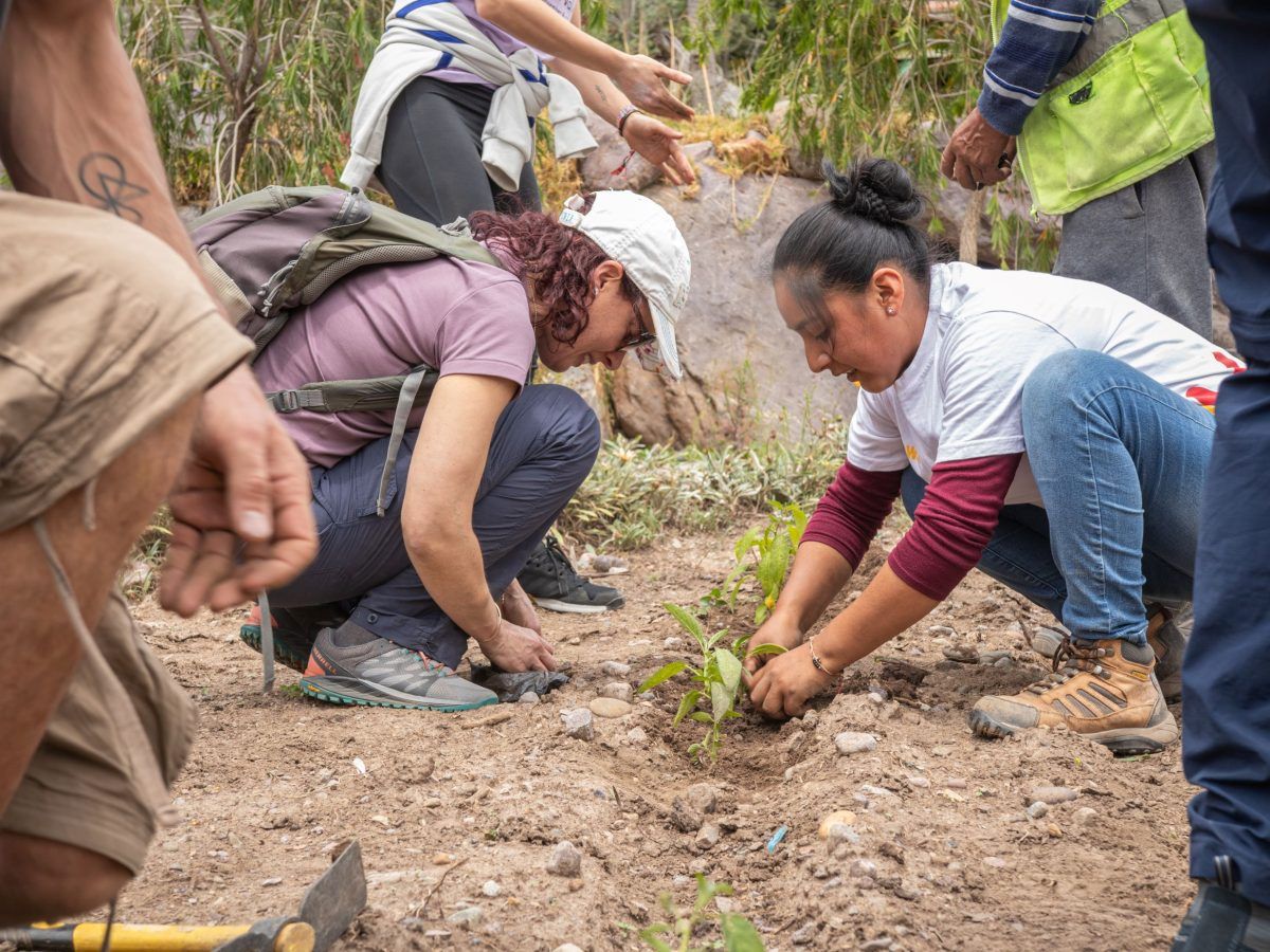 LUUM AWARDS – Revista Victoria Íconos de Éxito